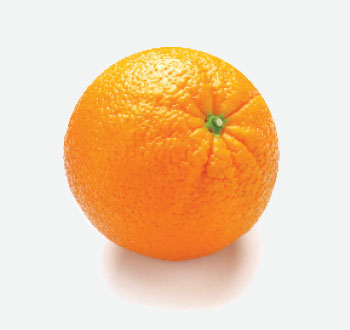Produce Depot » navel-orange
