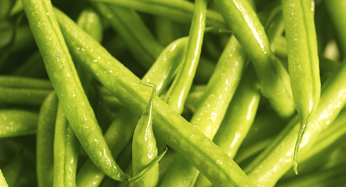 Produce Depot » green-beans-slide